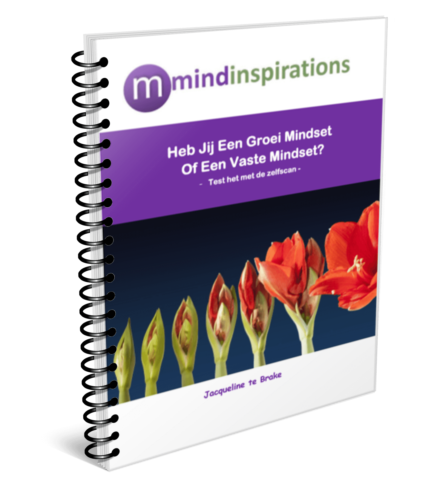 groeimindset of vaste mindset | Mindinspirations